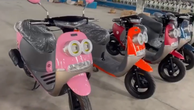 Xe điện Gogo Minion 50cc giá bao nhiêu, mua ở đâu tốt 2023 ...